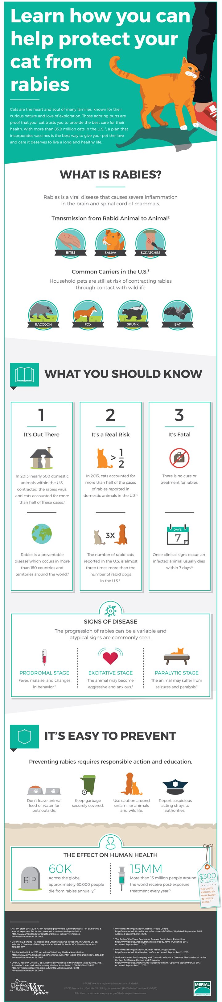 Learn how you can help protect your cat from rabies [Infographic ...
