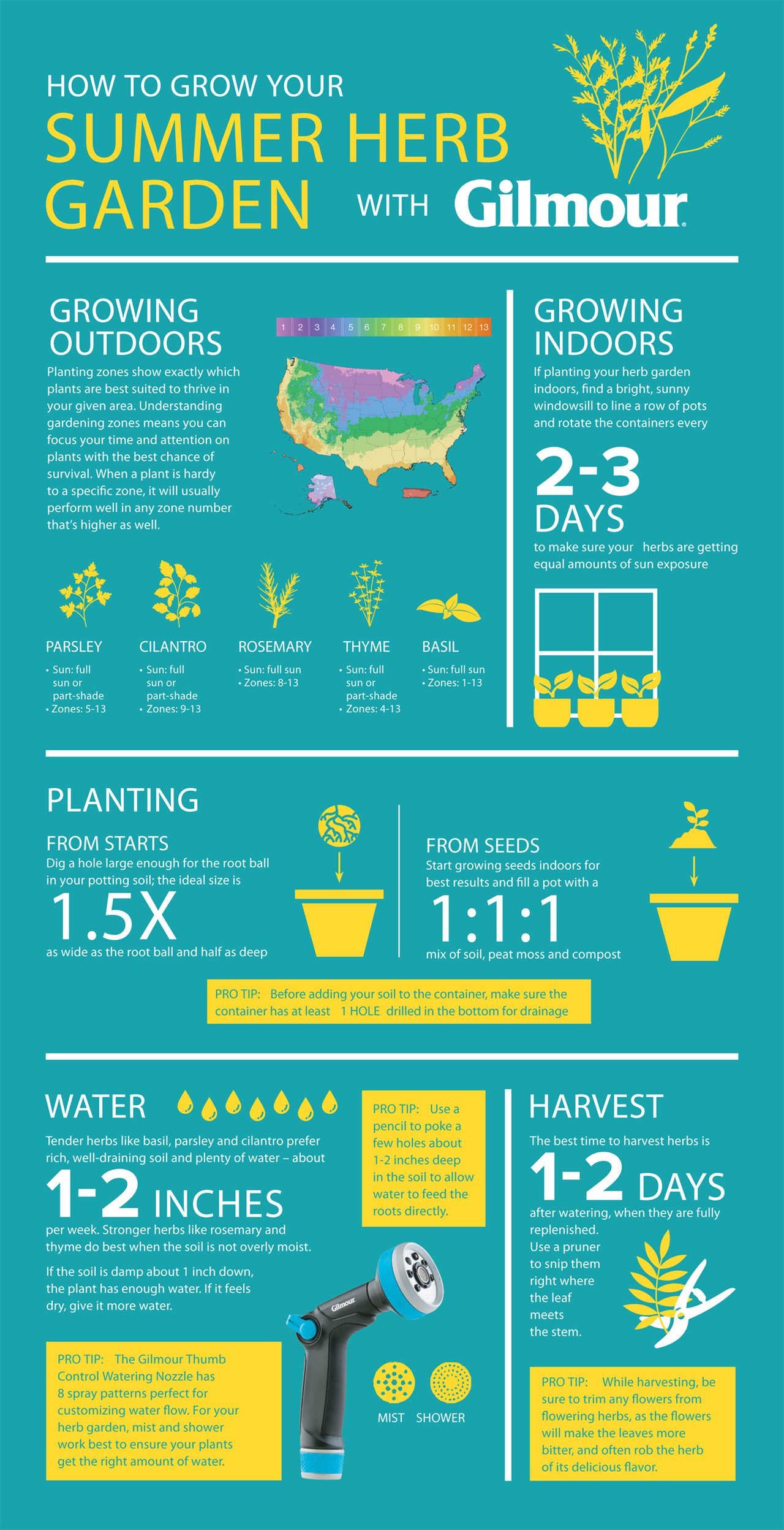 How to grow your summer herb garden (Infographic) – Baltimore Sun