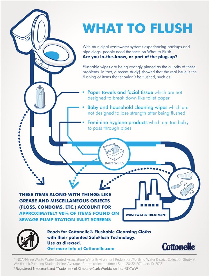What to flush [Infographic] – Baltimore Sun