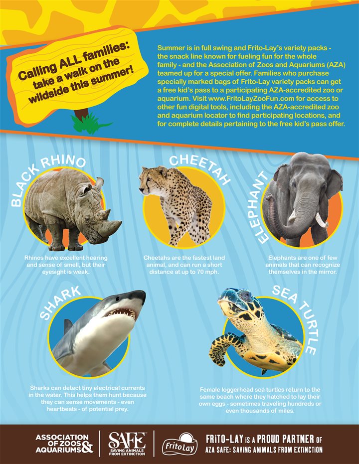 Take a walk on the wild side with these popular zoo animals ...