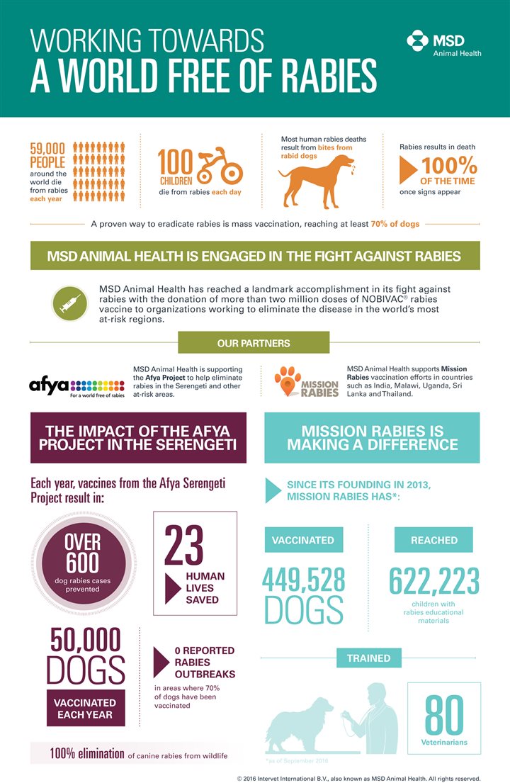 Working toward a world free of rabies (Infographic) – Baltimore Sun