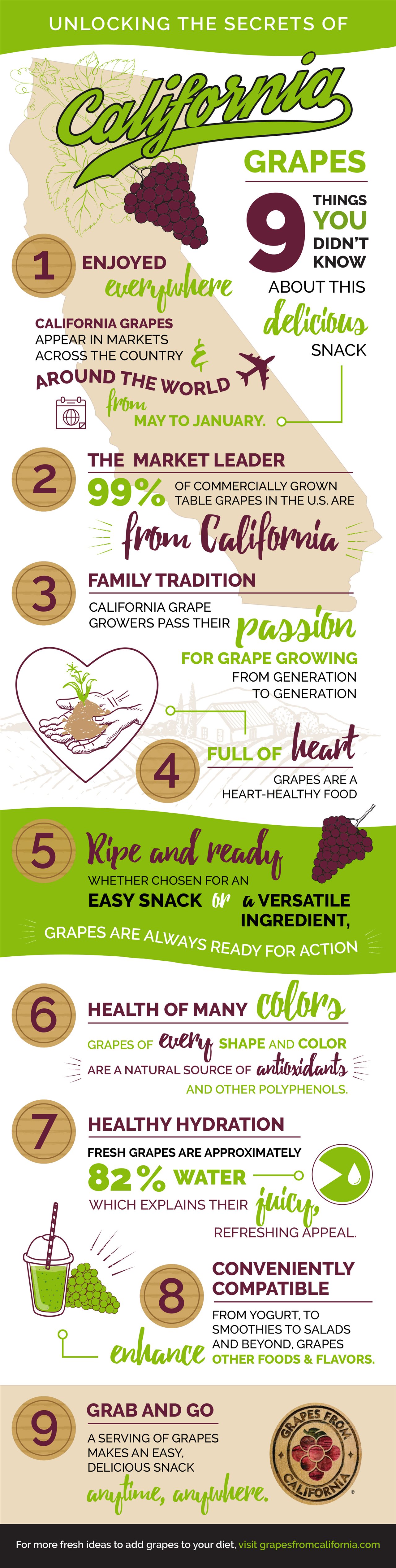 9 things you might not know about grapes (Infographic) – Baltimore Sun