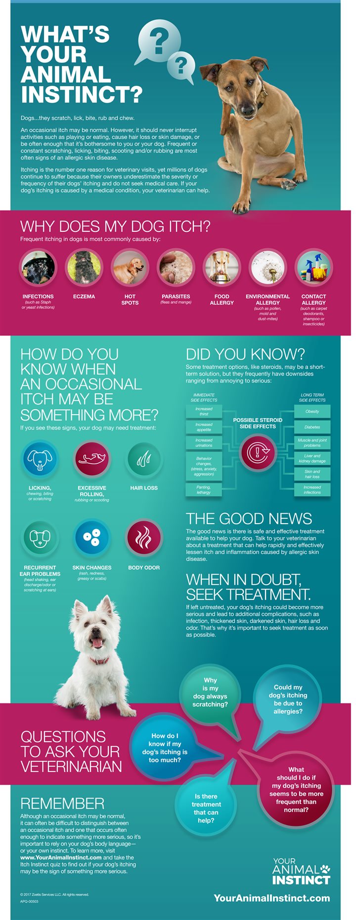 What’s your animal instinct? (Infographic) – Baltimore Sun