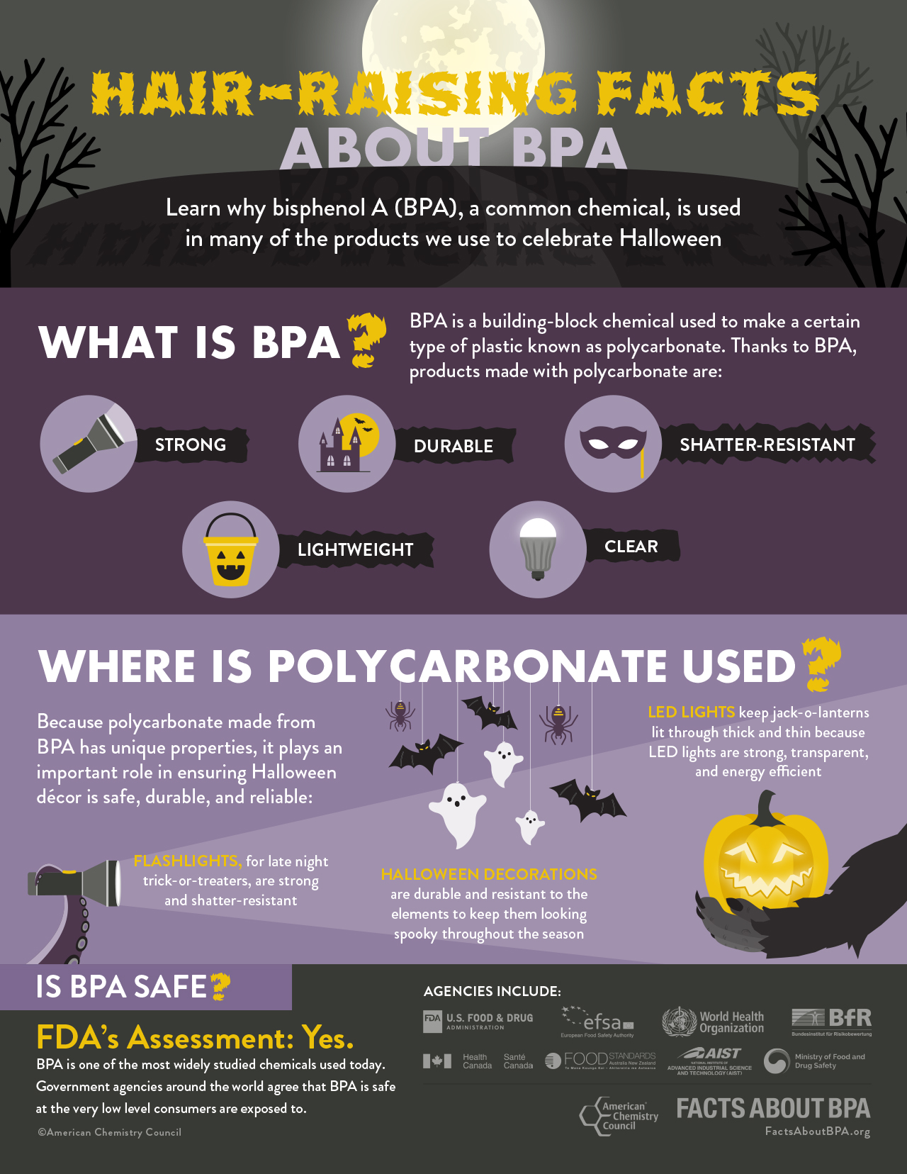 Hair-raising facts about BPA (Infographic) – Baltimore Sun