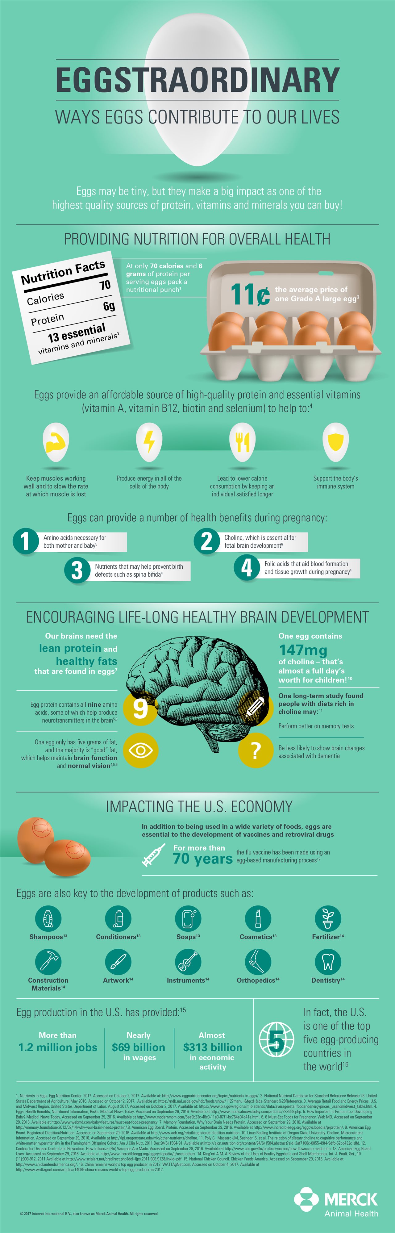 EGGStraordinary ways eggs contribute to our lives (Infographic ...
