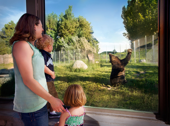 11 Reasons Billings, Montana, Was Named ‘America’s Best Town’ – Orlando ...